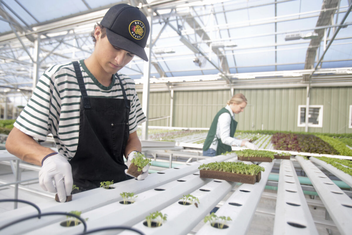 Snuck Farm continues expanding and growing through multiple farm ...